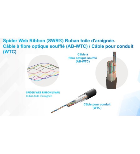 Wrapping Tube Cable (WTC) with SpiderWeb Ribbon (SWR) Fiber