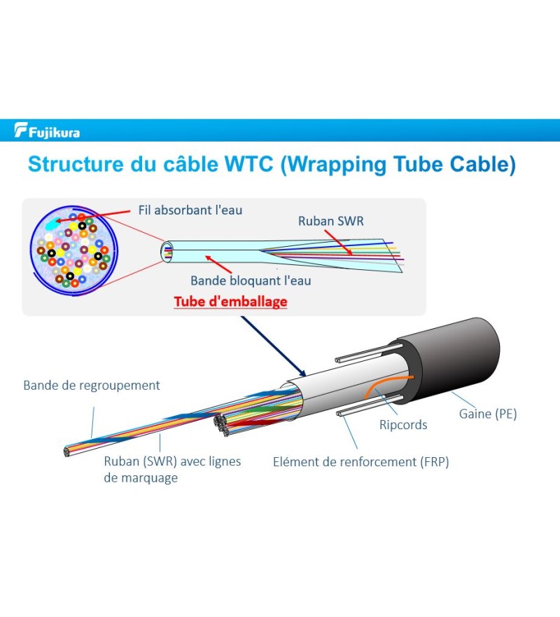 Câble WTC avec fibre SpiderWeb Ribbon SWR